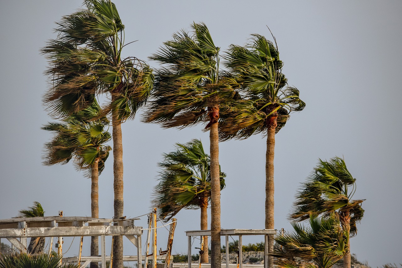 What Is a Storm Surge? Understanding the Hidden Threat Behind ...